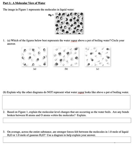 Water Vapor Molecule