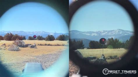 How To Use A Red Dot Sight Full Instructions Photos
