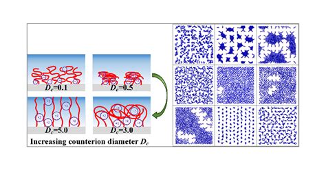 Size Effect Of Multivalent Counterions On Polyelectrolyte Brushes In Different Polar Solvents