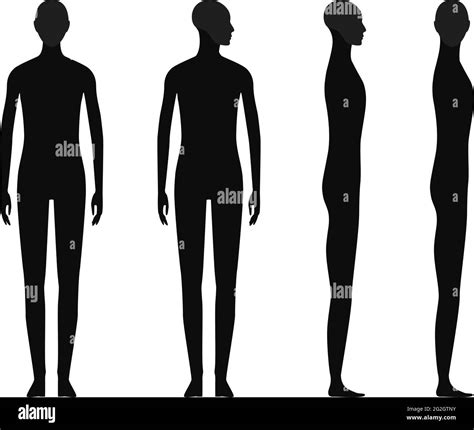 Anatomy Human Skull Rear View Stock Vector Images Alamy