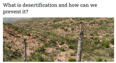 What Is Desertification And How Can We Prevent It Terrasafe