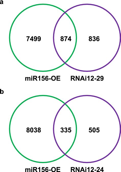 Ngs Based Transcriptome Analysis Of Wt And Spl12 Rnai Alfalfa Plants Download Scientific