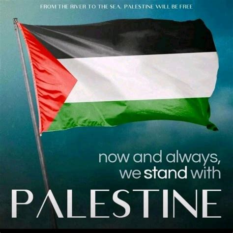 Yaser Safi Posted On Linkedin