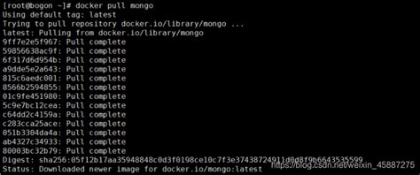 Docker安装mongodb，配置用户名密码。docker Mongo5018 Csdn博客
