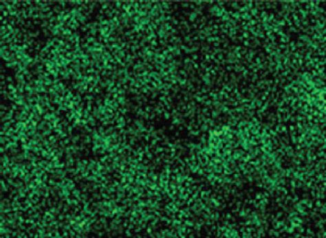 Edx Mapping Of Electron Image For Zif 67g C3n4 A B Carbon Element