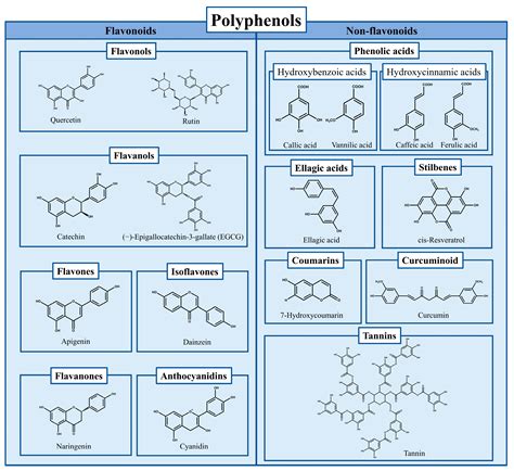 Polyphenol Protein Complexes With Antioxidant Properties Encyclopedia
