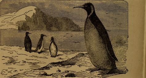 List Of Articles About Open Source Community