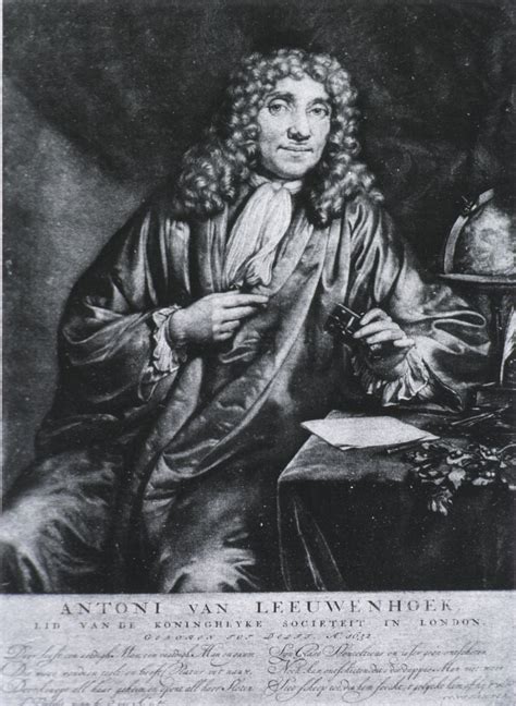 Lens On Leeuwenhoek