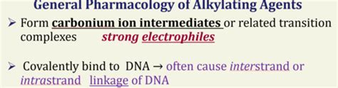 Alkylating Agents Flashcards Quizlet