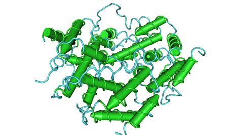 Interferons Ifns Types Mode Of Action And Effects Online Biology Notes