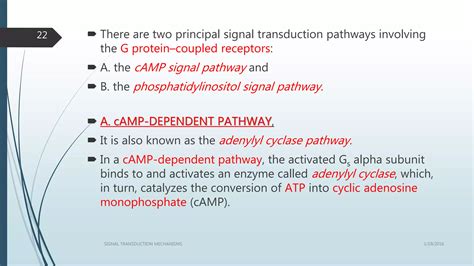 Signal Transduction Pathways Pptx