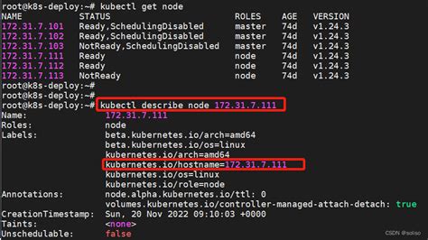 K8s Node亲和与反亲和：nodeselector应用 Csdn博客