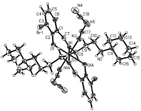 The Structure Of Complex Showing The Atom Numbering Scheme Download Scientific Diagram