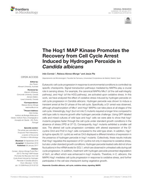 Pdf The Hog1 Map Kinase Promotes The Recovery From Cell Cycle Arrest