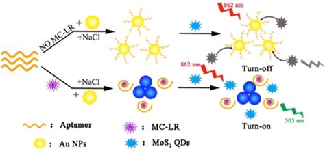 Aptasensor Based On Mos2 Quantum Dots With Upconversion Fluorescence For Microcystin Lr