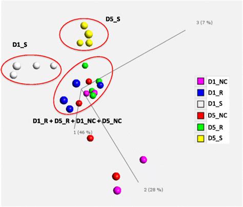 Principal Component Analysis Pca Of Transcriptome Of All 24 Rnaseq