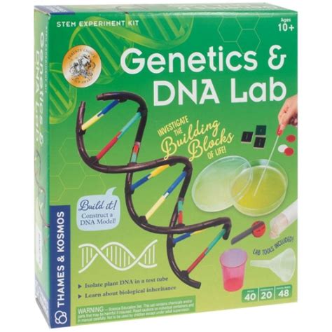 Genetics DNA Lab Science Toys