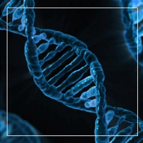 유전적 영향이 큰 암 4가지 지금 바로 가족력 확인하세요 똑똑건강