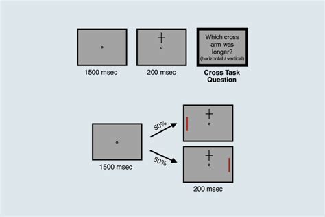 Inattentional Blindness Test