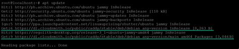 Automating Site Deployments With Caddy Web Server
