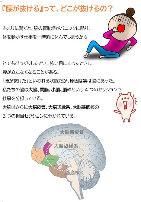 配置薬 置き薬 医薬品 健康食品は岐阜県の宮島薬品株式会社