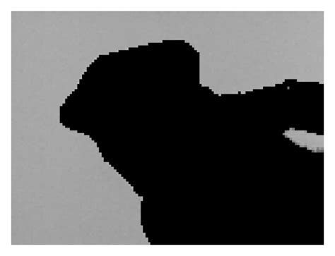 Testing Images And Segmentation Results Subplots A And D Are Download Scientific Diagram