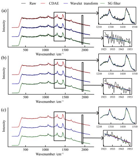 Denoising And Baseline Correction Methods For Raman Spectroscopy Based On Convolutional