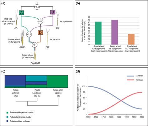 Domestication And Introgression History In Wheat And Potato A