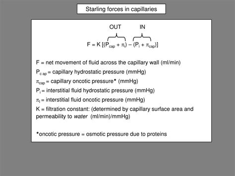 Ppt Microcirculation Introduction Powerpoint Presentation Free
