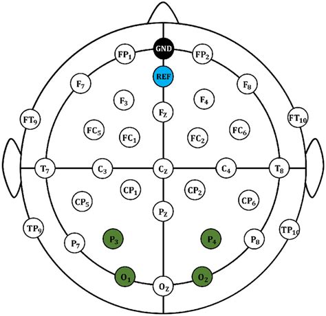 Electrode Distribution Map Of Eeg Signal Acquisition Download