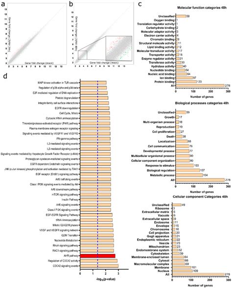 Differential Gene Expression Assessment Of Junv Infected Hepg2 Cells