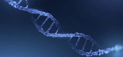 파미셀 내년 공장 가동 본격화로 실적 회복 기대