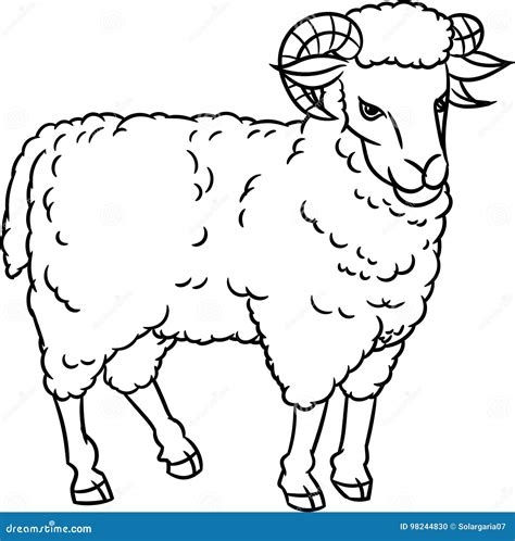 Drawing Sheep Cartoon Vector 12553319