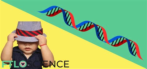 How To Create Designer Babies Ftloscience