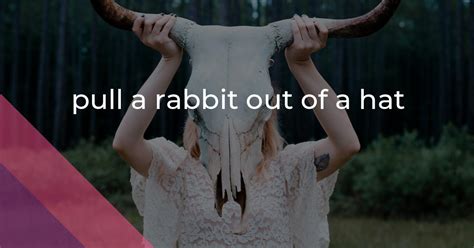 Pull A Rabbit Out Of A Hat Idiom Meaning And Origin The Village Idiom