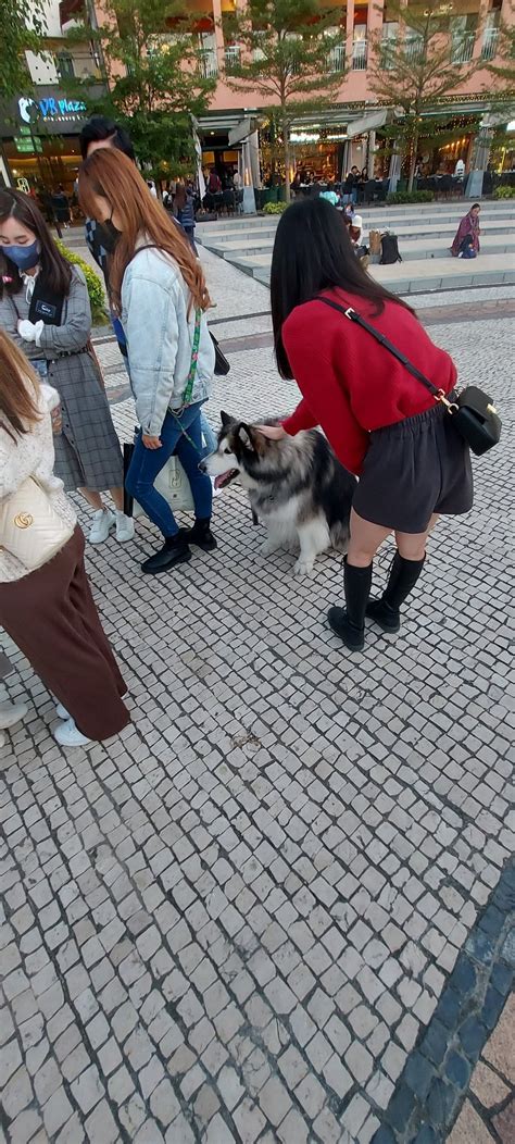 Fujiki Yusaku Playmaker On Twitter AkaNemsko Happy New Year Https T Co 1BXi8wCbJq Twitter