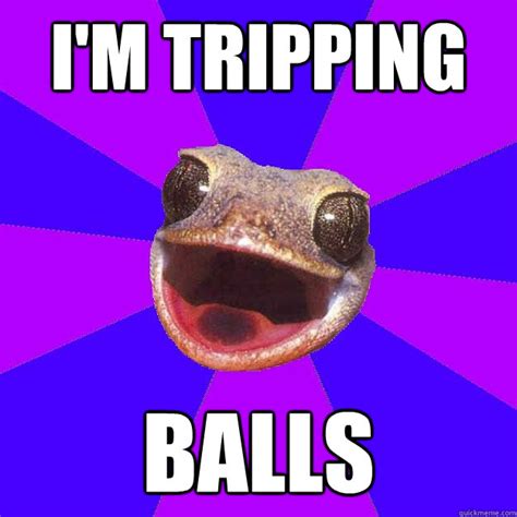 Im Tripping Balls Lets Go Gecko Quickmeme