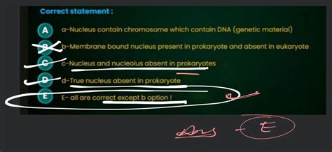 Correct Statement A A Nucleus Contain Chromosome Which Contain Dna Ge