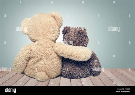 Two Teddy Bears Together