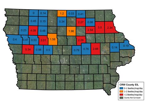 Be Aware Of Corn Rootworm Damage