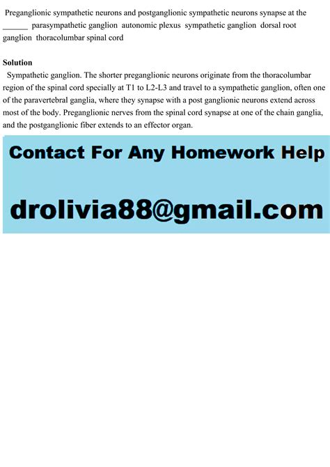 Preganglionic Sympathetic Neurons And Postganglionic Sympathetic Neurpdf