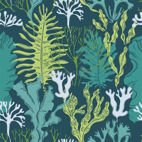 Edible Algae Vector Illustration Stock Vector Illustration Of Grass Nature 224293060