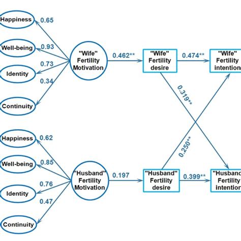 Actor Partner Interdependence Mediation Model Of Fertility Intention