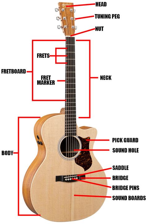 Diagram Of Guitar Acoustic Anatomy Headstock Strings Guitari