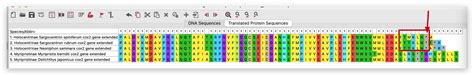 incorrect stop codon · issue 175 · linzhi2013 mitoz · github