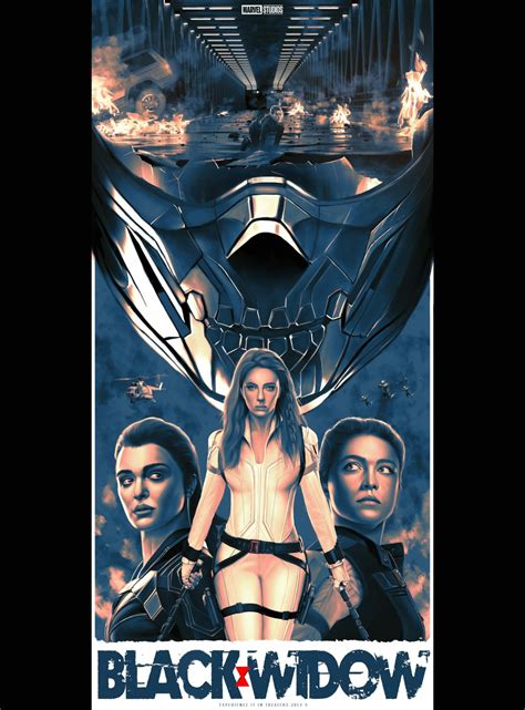 Black Widow Poster By Visualsofazmat