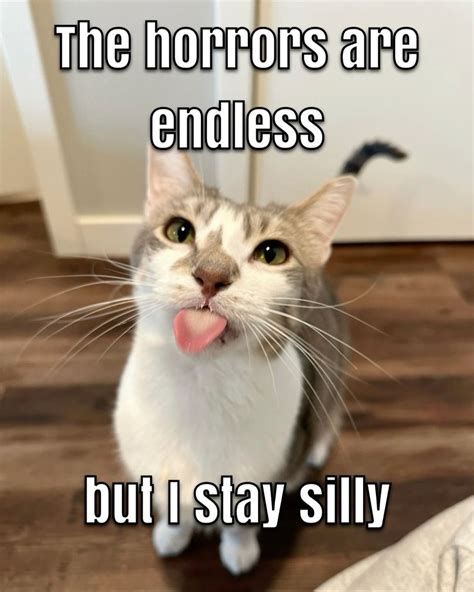 Here Are Some Of The Most Hilariously Relatable Cat Memes Artofit
