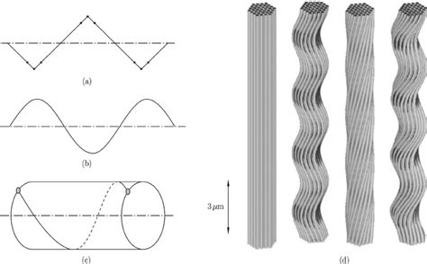 The Schematics Of Different Crimp Patterns Of Fibril In Ligament A