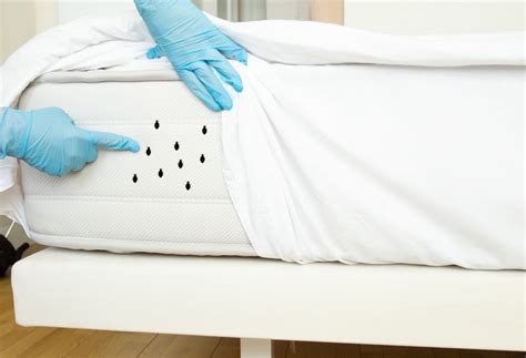 How Dehumidifiers Improve Health And Home Solenco And Meaco