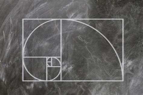 Fibonacci O matemático que contava coelhos Blog